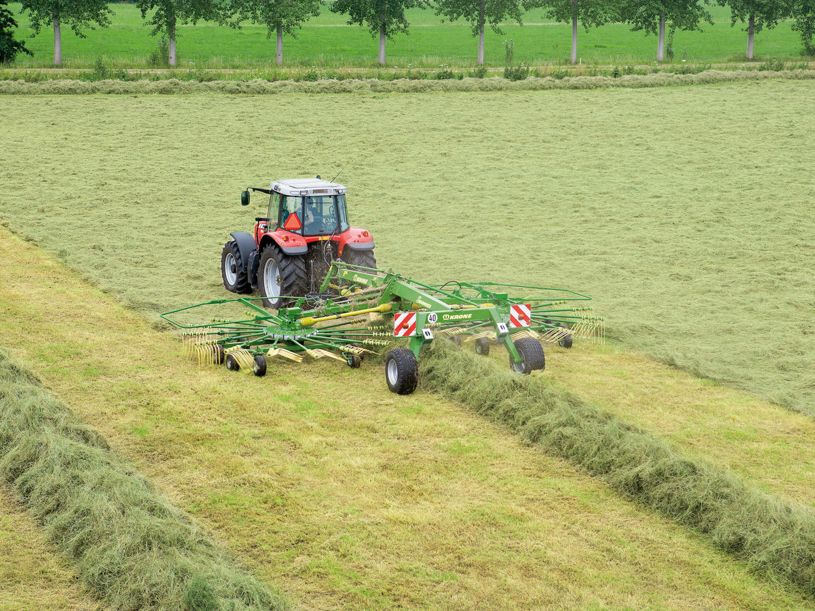 Forage Grass | Harlow Agriculture