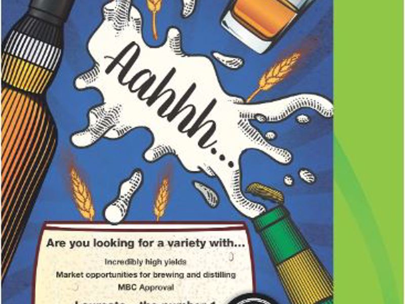 Barley Varieties | Harlow Agriculture